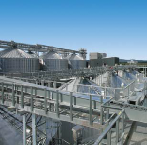Drying, Paddy Handling & Storage Systems – Alphamaster Industrial
